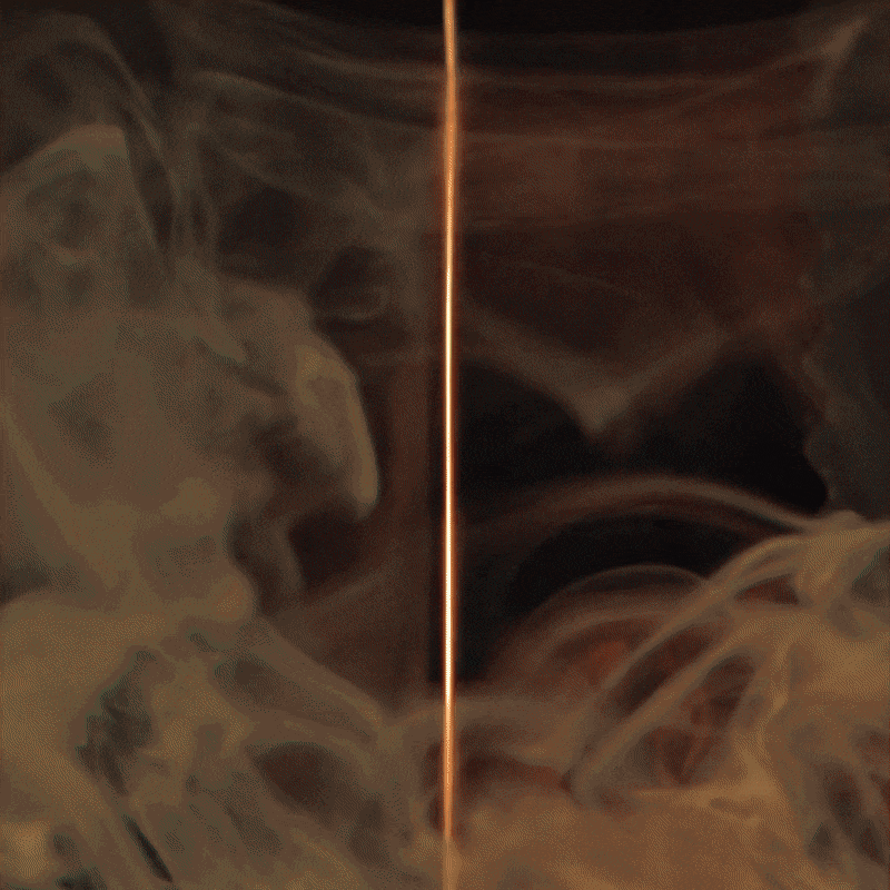 When Luxury Meets the Wild: The True Cost of Exceptional Cologne ...